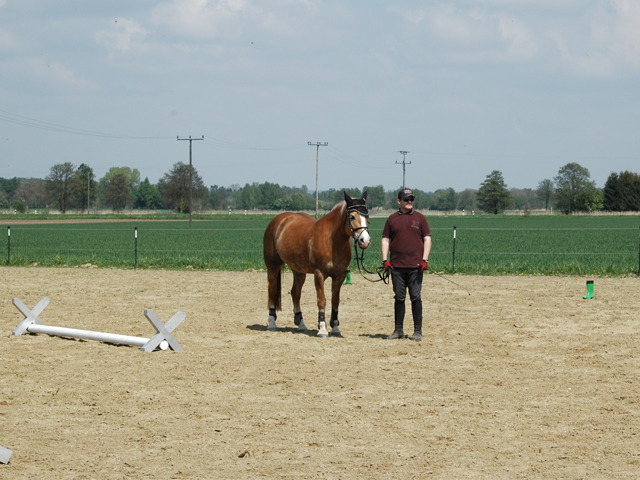 Bodenarbeit - Team-T-Weichs - Reiten in Zillhofen, Weichs, Markt ...