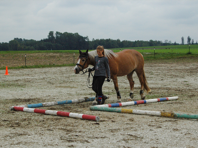 Bodenarbeit - Team-T-Weichs - Reiten in Zillhofen, Weichs, Markt ...